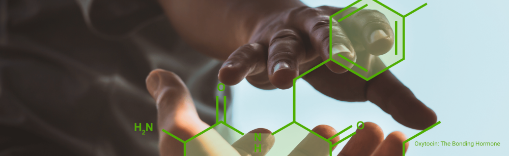 Welcome - eleMENTAL - Gesundheit